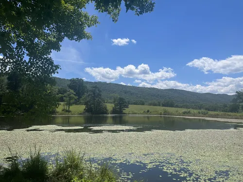 2023 Best Forest Trails in Keezletown | AllTrails