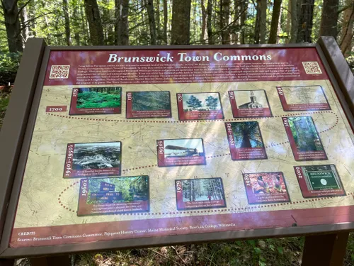 2023 Best Wild Flowers Trails in Brunswick | AllTrails