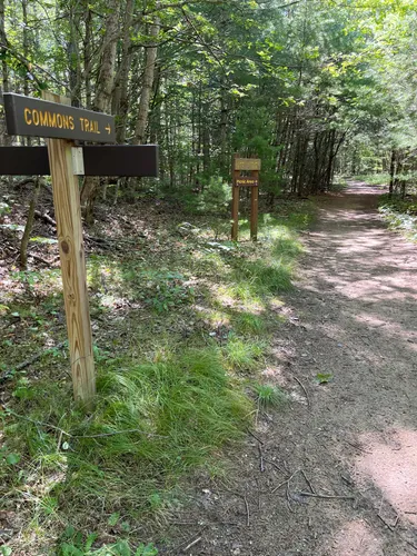 2023 Best Wild Flowers Trails in Brunswick | AllTrails