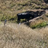 Point Arena-Stornetta Unit of the California Coastal National Monument ...