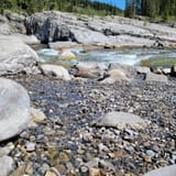 Elbow Falls Loop, Alberta, Canada - 386 Reviews, Map | AllTrails