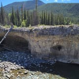 Elbow Falls Loop, Alberta, Canada - 469 Reviews, Map | AllTrails