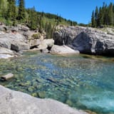 Elbow Falls Loop, Alberta, Canada - 469 Reviews, Map | AllTrails
