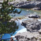 Elbow Falls Loop, Alberta, Canada - 469 Reviews, Map | AllTrails
