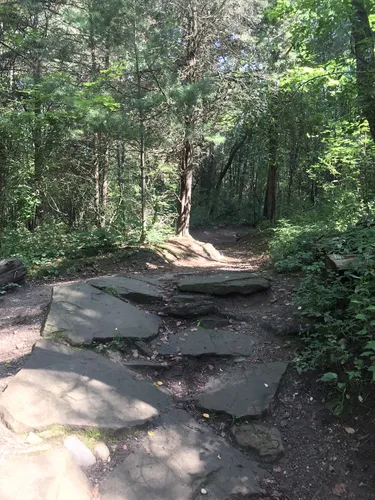 2023 Best Long Trails in Waterloo State Recreation Area | AllTrails