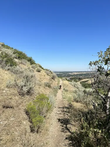 10 Best Hikes and Trails in Corner Canyon Regional Park | AllTrails