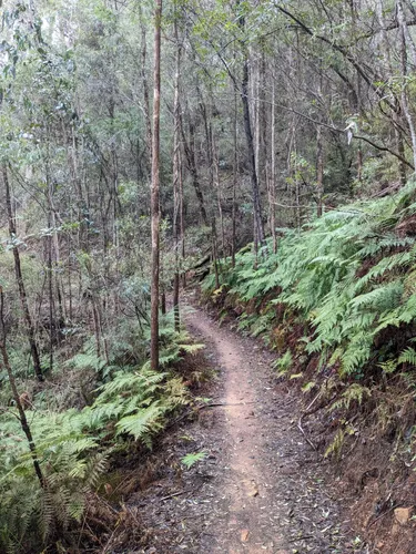 Best Waterfall Trails in Stanley | AllTrails