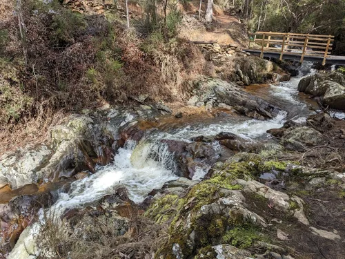 Best Waterfall Trails in Stanley | AllTrails