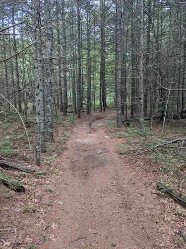 2023 Best Kid Friendly Trails in Assonet | AllTrails