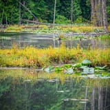 Yellow Point Bog Ecological Reserve and Yellow Point Park Loop, British ...