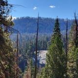 Muir Grove Trail, California - 350 Reviews, Map | AllTrails