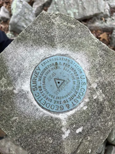 2023 Best Wild Flowers Trails in Flintstone | AllTrails