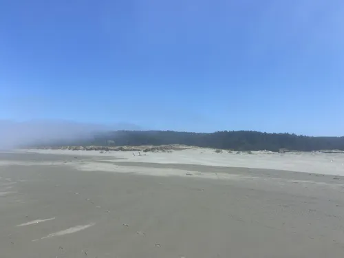 Best Hikes and Trails in Little River State Beach | AllTrails