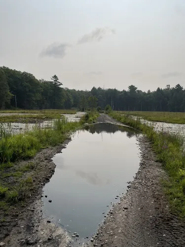 10 Best Trails and Hikes in Parry Sound | AllTrails