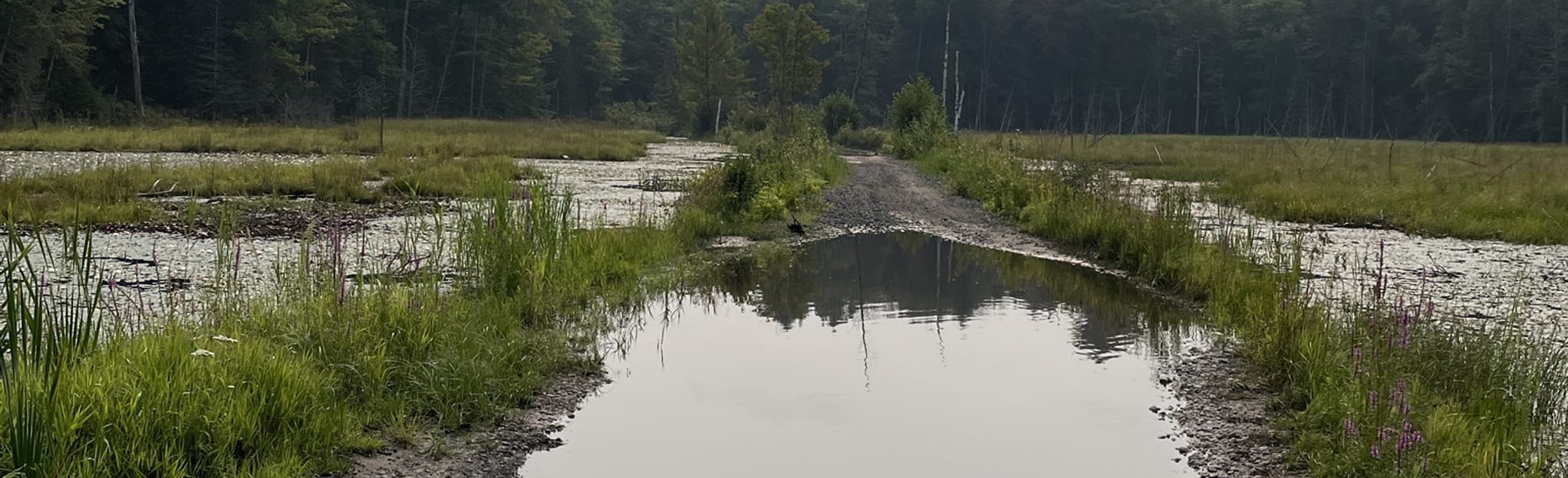 Seguin Trail Start, Ontario, Canada - 9 Reviews, Map | AllTrails