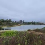 Goleta Beach and the UCSB Lagoon Trail, California - 524 Reviews, Map ...
