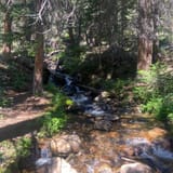 Hassell Lake Trail, Colorado - 530 Reviews, Map | AllTrails