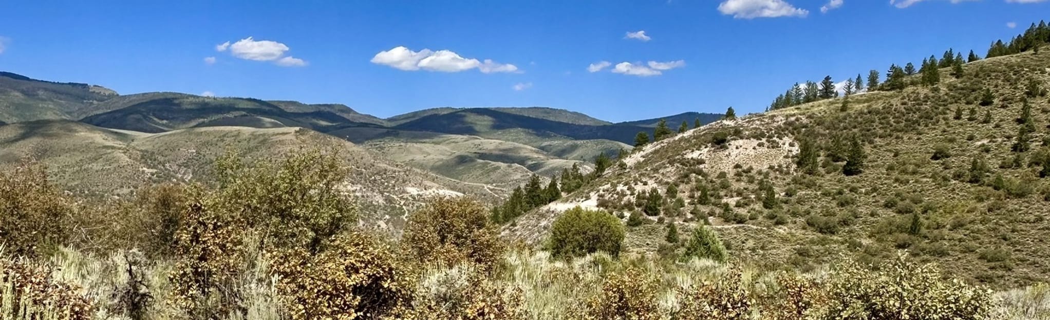 Cherokee Trail, Colorado - 57 Reviews, Map | AllTrails