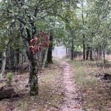 Hot Springs Sunset Trail Full Circle, Arkansas - 368 Reviews, Map ...
