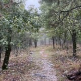 Hot Springs Sunset Trail Full Circle, Arkansas - 368 Reviews, Map ...