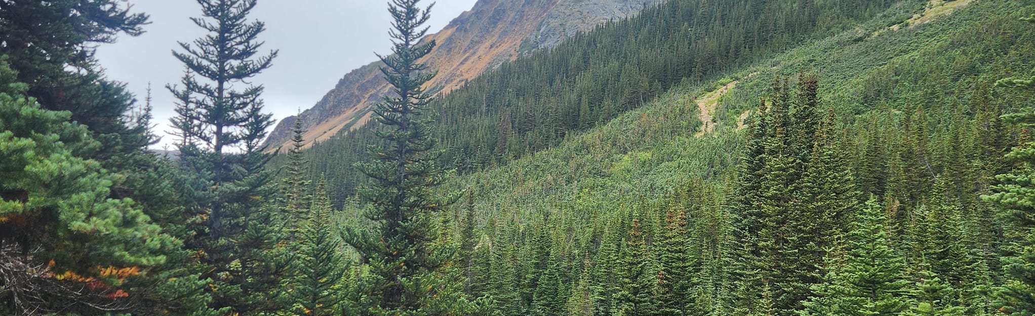 Silver King and McCabe Trail, British Columbia, Canada - 27 Reviews ...