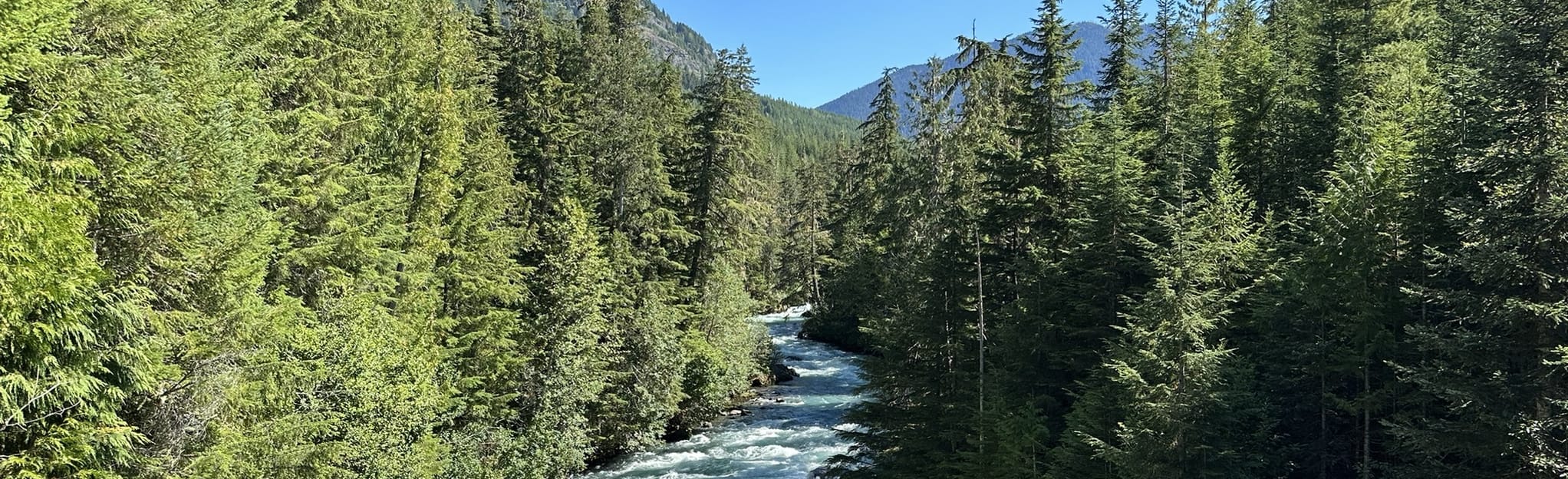 Riverside Trail: 103 Reviews, Map - British Columbia, Canada | AllTrails