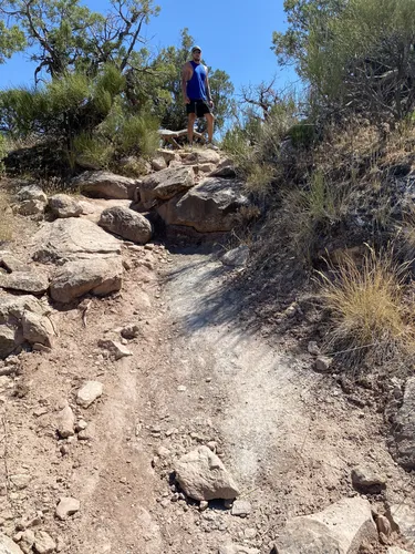 Black Ridge Canyons Wilderness: de 10 beste wandelingen en routes ...