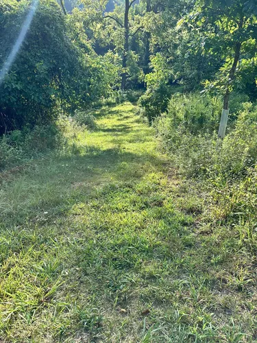 Best Hikes and Trails in Howard County Conservancy | AllTrails