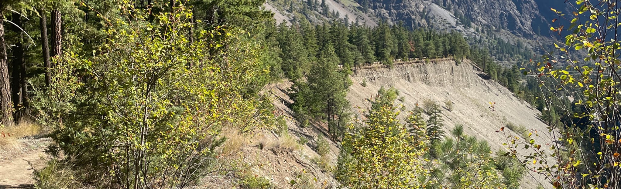 Upper Bench Trail, British Columbia, Canada - 24 Reviews, Map | AllTrails