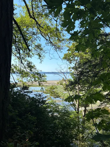 2023 Best Forest Trails in Anderson Island | AllTrails