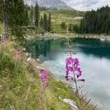 Lake Carezza, South Tyrol, Italy - 201 Reviews, Map | AllTrails