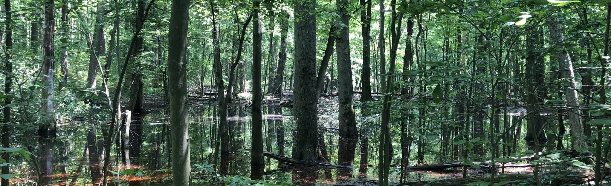 Four Oaks Trail: 62 Reviews, Map - Ontario, Canada | AllTrails