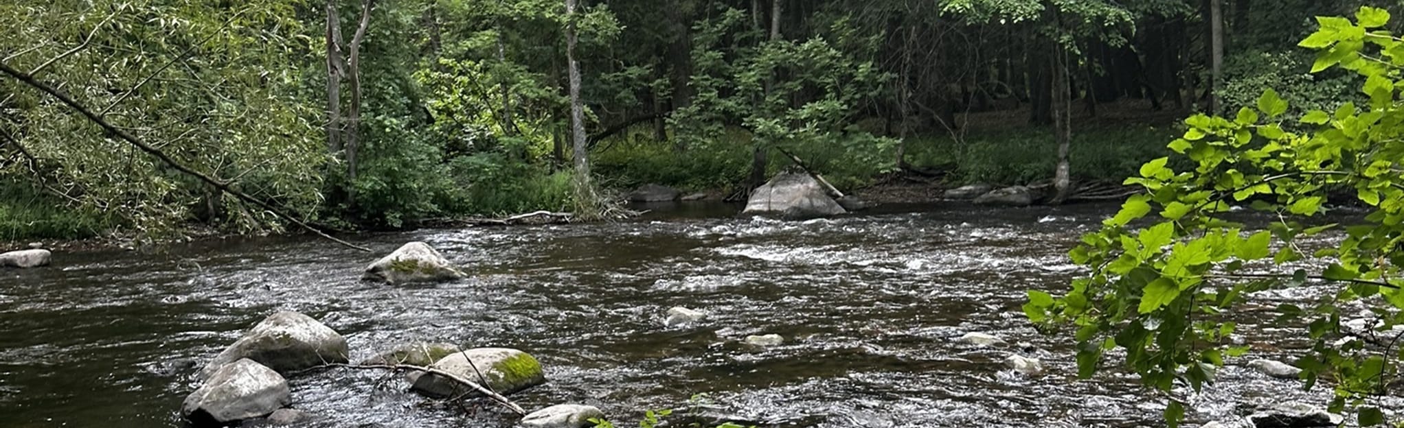 Hayman Falls Trail: 49 Reviews, Map - Wisconsin | AllTrails