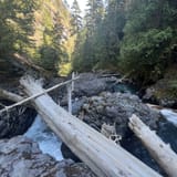 Dosewallips River Road Trail, Washington - 621 Reviews, Map | AllTrails