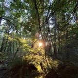 Red Town and Wildside Trails, Washington - 646 Reviews, Map | AllTrails