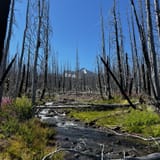 Broken Top Loop, Oregon - 282 Reviews, Map | AllTrails