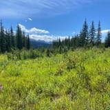 Skookum Butte, Montana - 73 Reviews, Map | AllTrails