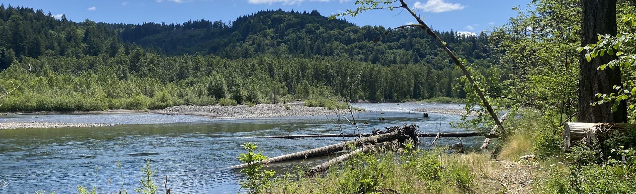 Oxbow Park Loop: 359 Reviews, Map - Oregon | AllTrails