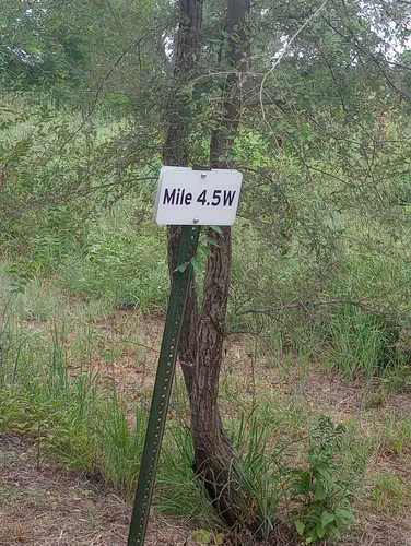 Best Hikes and Trails in Linear Park | AllTrails