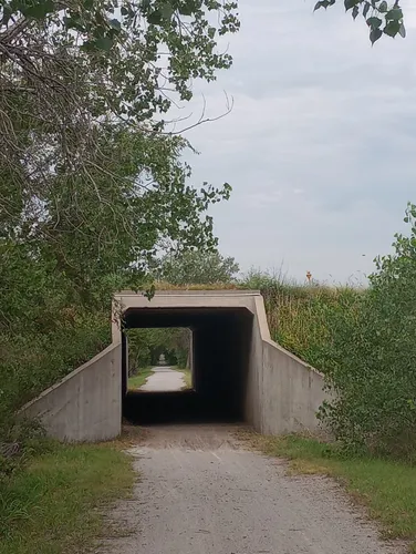 Best Hikes and Trails in Linear Park | AllTrails