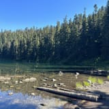 Tinkham Peak (Tinkham East Boot) Trail, Washington - 402 Reviews, Map ...