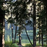 Tinkham Peak (Tinkham East Boot) Trail, Washington - 402 Reviews, Map ...