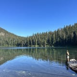 Tinkham Peak (Tinkham East Boot) Trail, Washington - 402 Reviews, Map ...