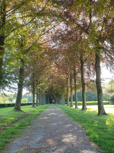 Best Hikes and Trails in Chateau des Comtes de Marchin | AllTrails