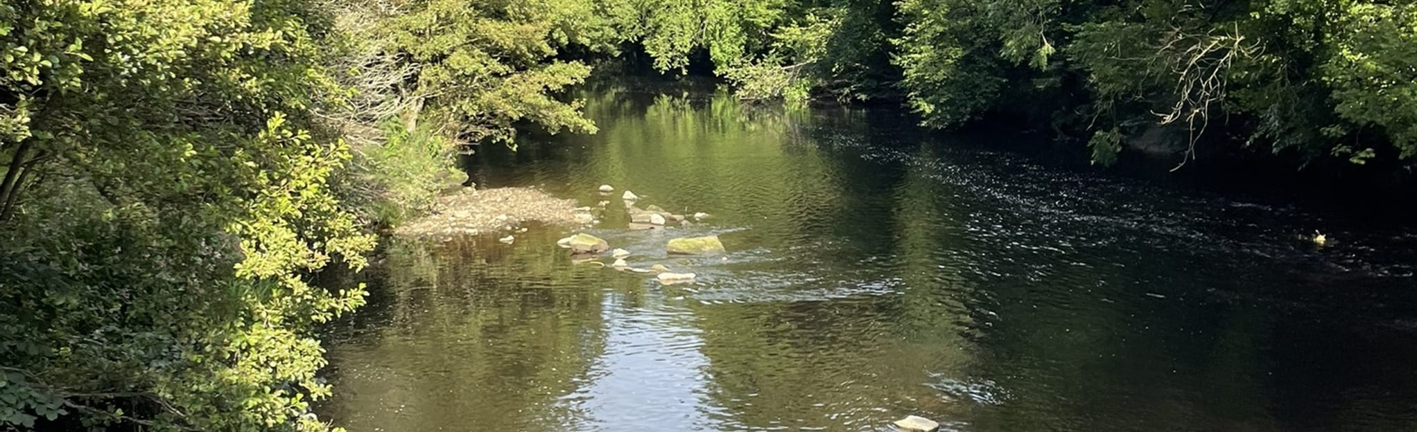 Bilton Greenway and River Nidd Circular: 78 Reviews, Map - North ...