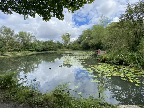 Best Hikes and Trails in Daisy Nook Country Park | AllTrails