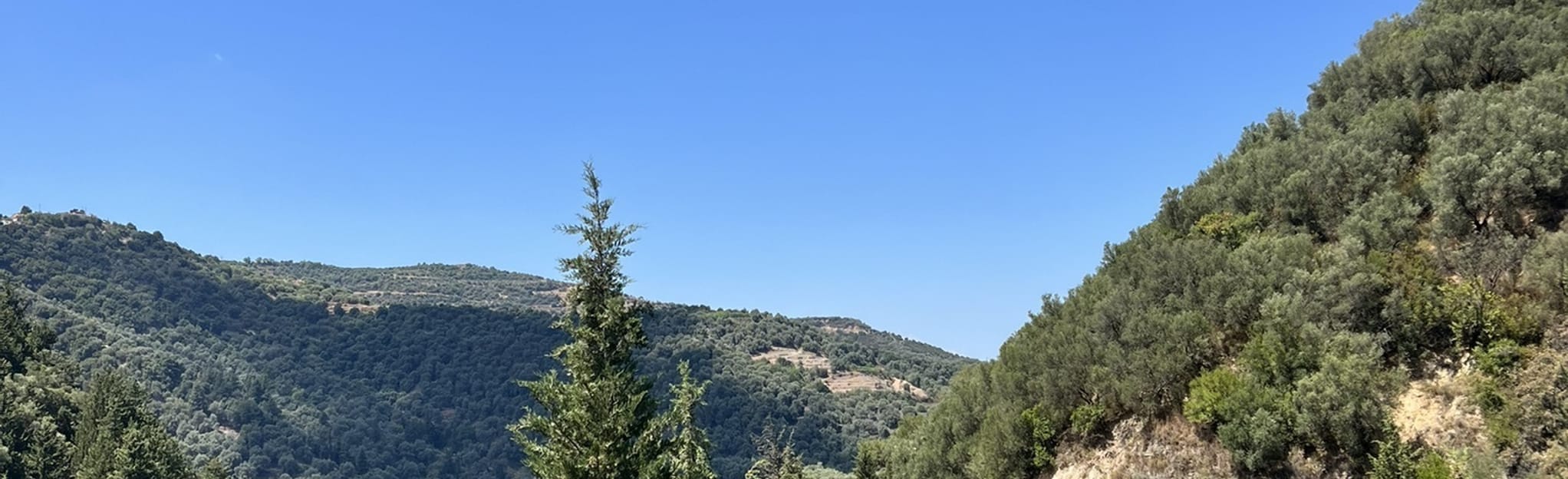 Sarakina Gorge of Meskla, Crete, Greece - 69 Reviews, Map | AllTrails