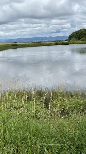 Best Hikes and Trails in Dams to Darnley Country Park | AllTrails