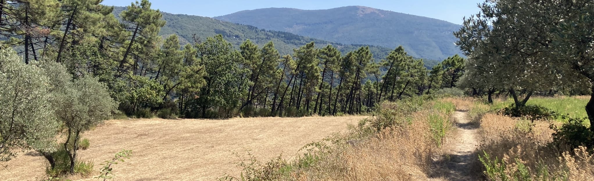 Poggio Monteferrato - Monte Mezzano - Monte Piccioli - Monte Lopi: 4 ...