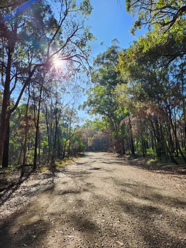 2023 Best Long Trails in Daisy Hill Conservation Park | AllTrails